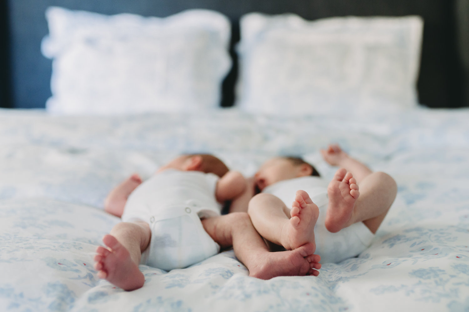 My Work History and How it Makes Me the Perfect Photographer to Handle ...