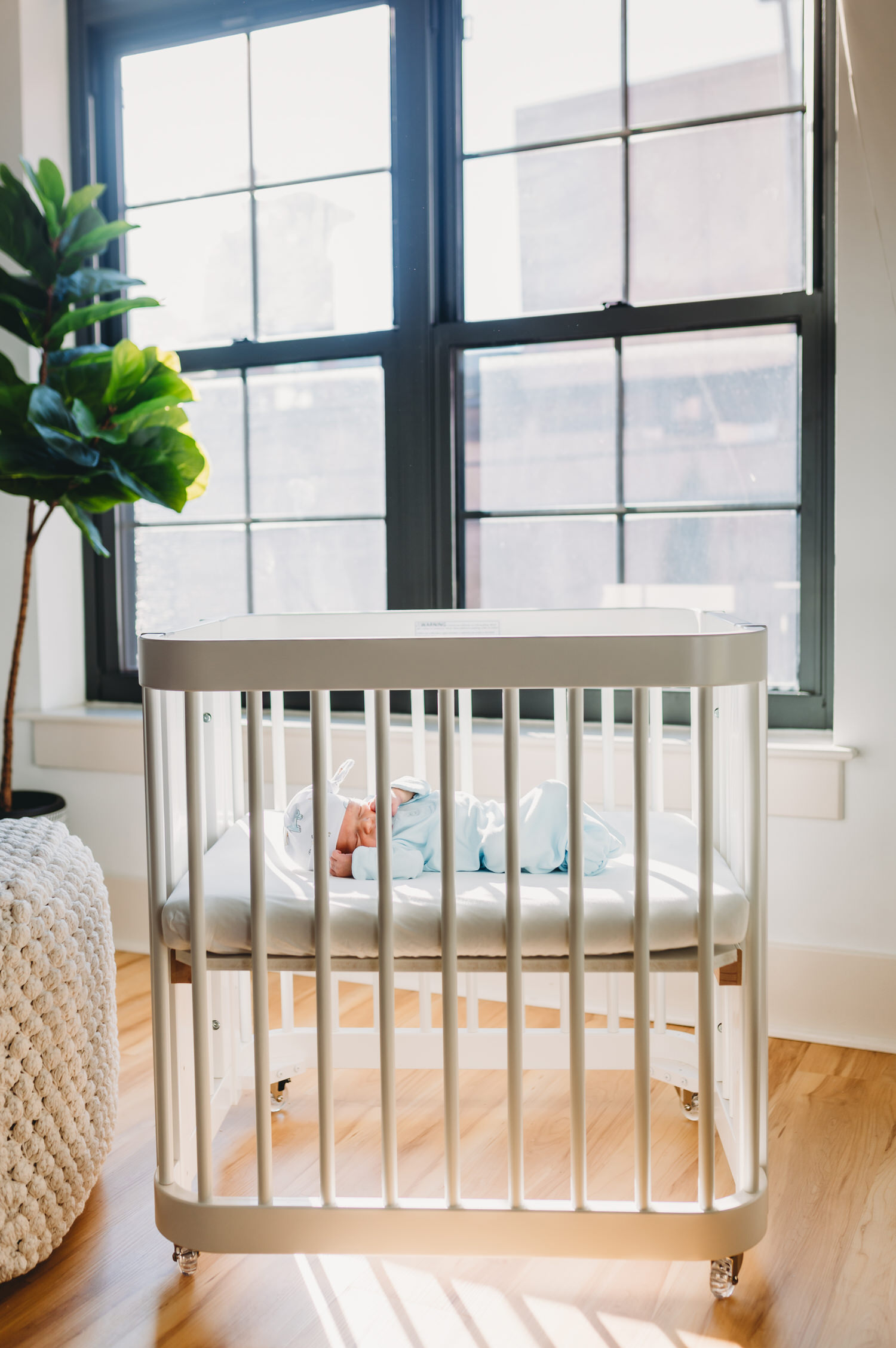 Everything About My Newborn Session Flow | Washington, DC Photographer ...